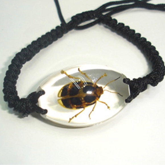 Source Unknown | Accessories | Boutique Insect Amber Handmade Braided ...